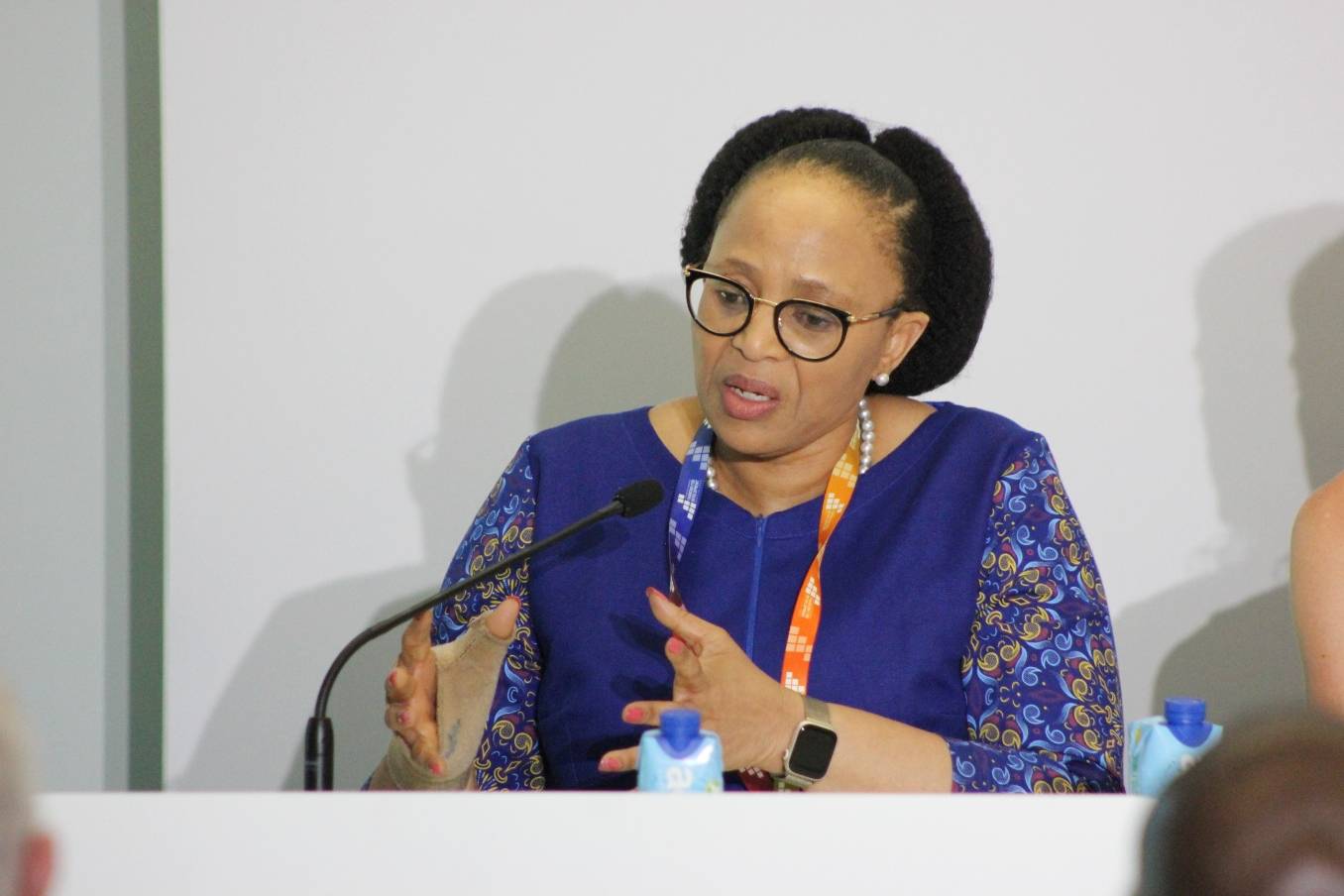 Lesotho Sets Bold Ambition to Become Africa’s Clean Energy Hub by 2030 ...