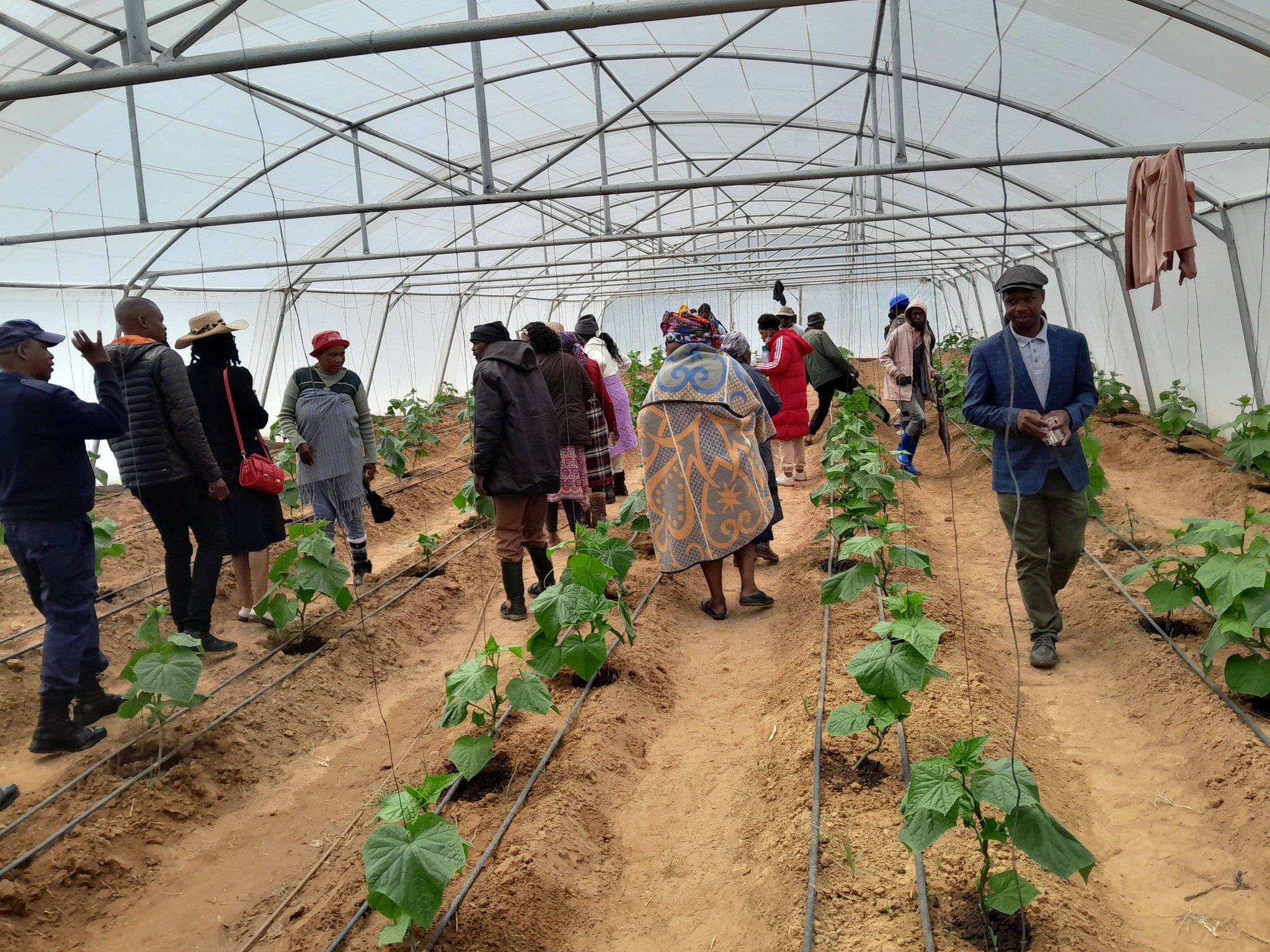 AgroSel Farm Officially Launched at Ha-Toloane to Boost Employment and ...